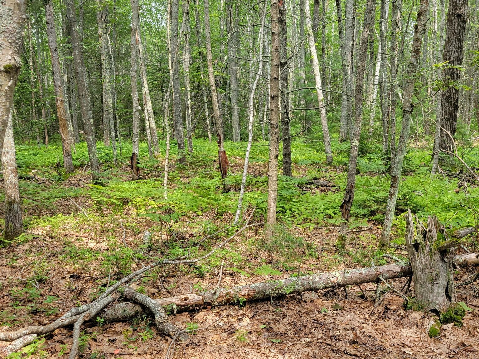 0 Long Reach Lane Lot 1, Harpswell, ME 04079 | Zillow