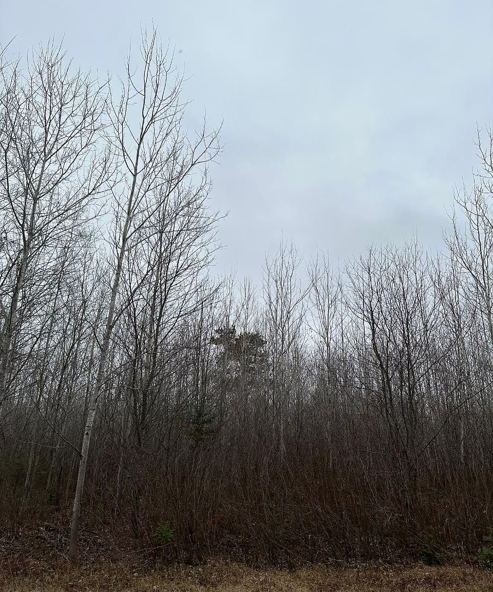 Burrows Lake Rd #4067-A, Tomahawk, WI 54487 | MLS #204768 | Zillow