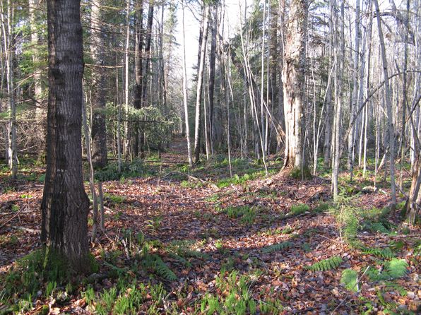 Newberry MI Real Estate - Newberry MI Homes For Sale | Zillow