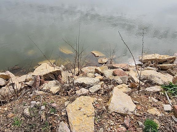 934 Lexi Ln, Clifton, TN 38425 | Zillow