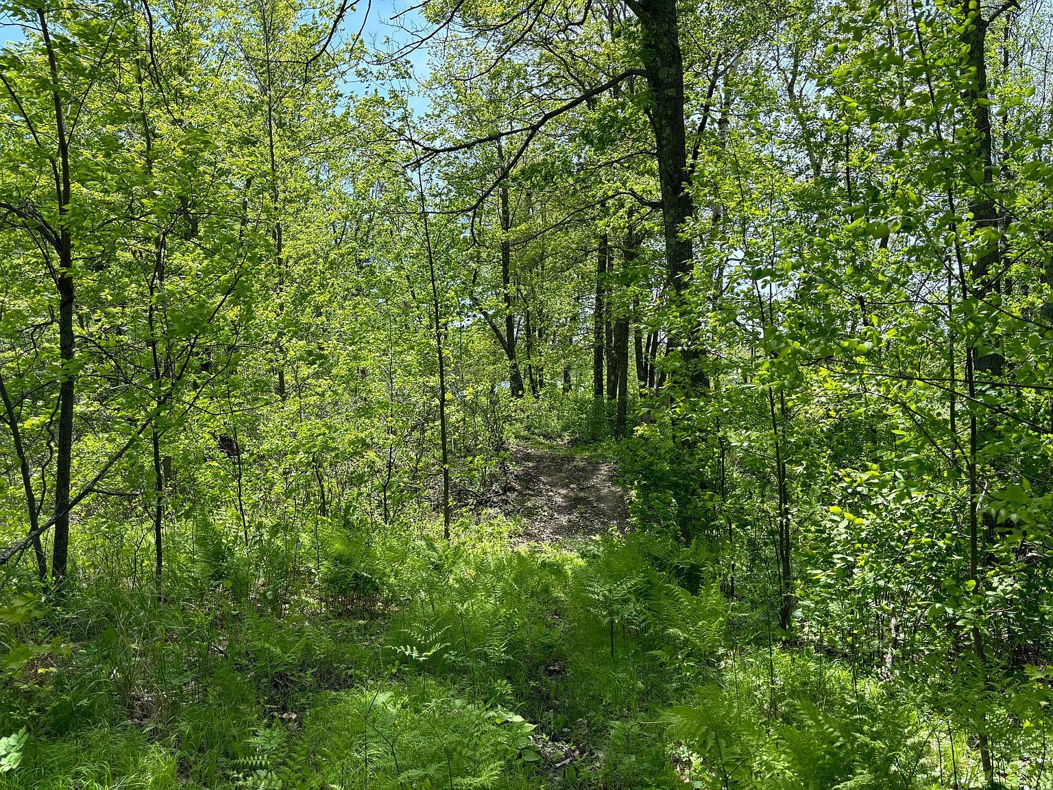 Xx 233rd Pl, Jacobson, MN 55752 | Zillow