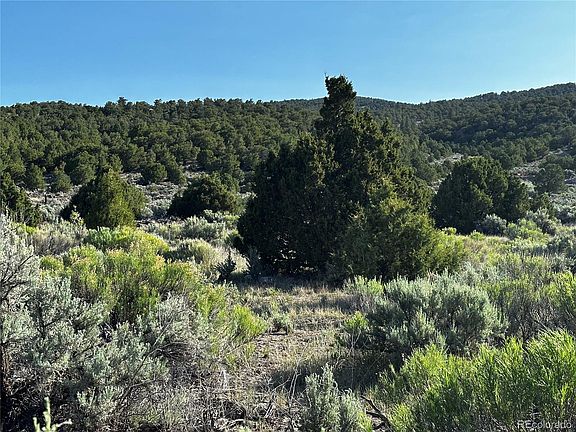 4473 Ehrenclow Road Lot 4473, Fort Garland, CO 81133 | MLS #8056720 ...