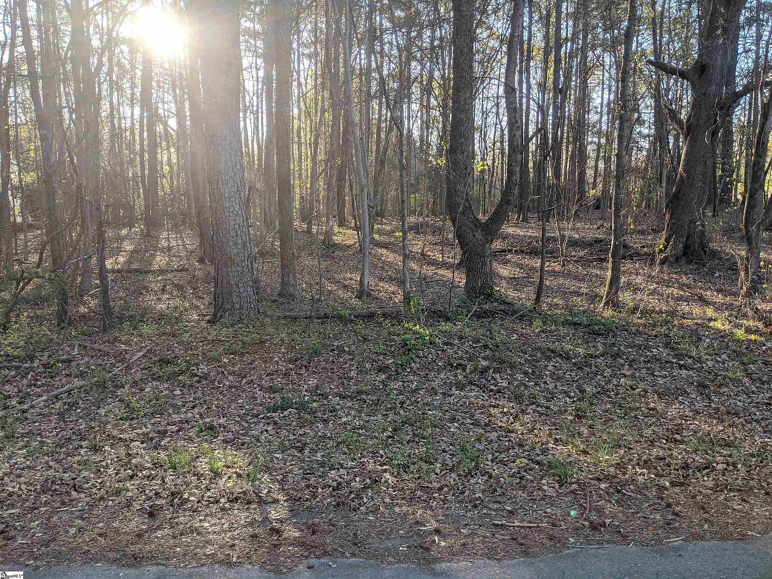 116 Holly Tree Cir, Duncan, SC 29334 | Zillow