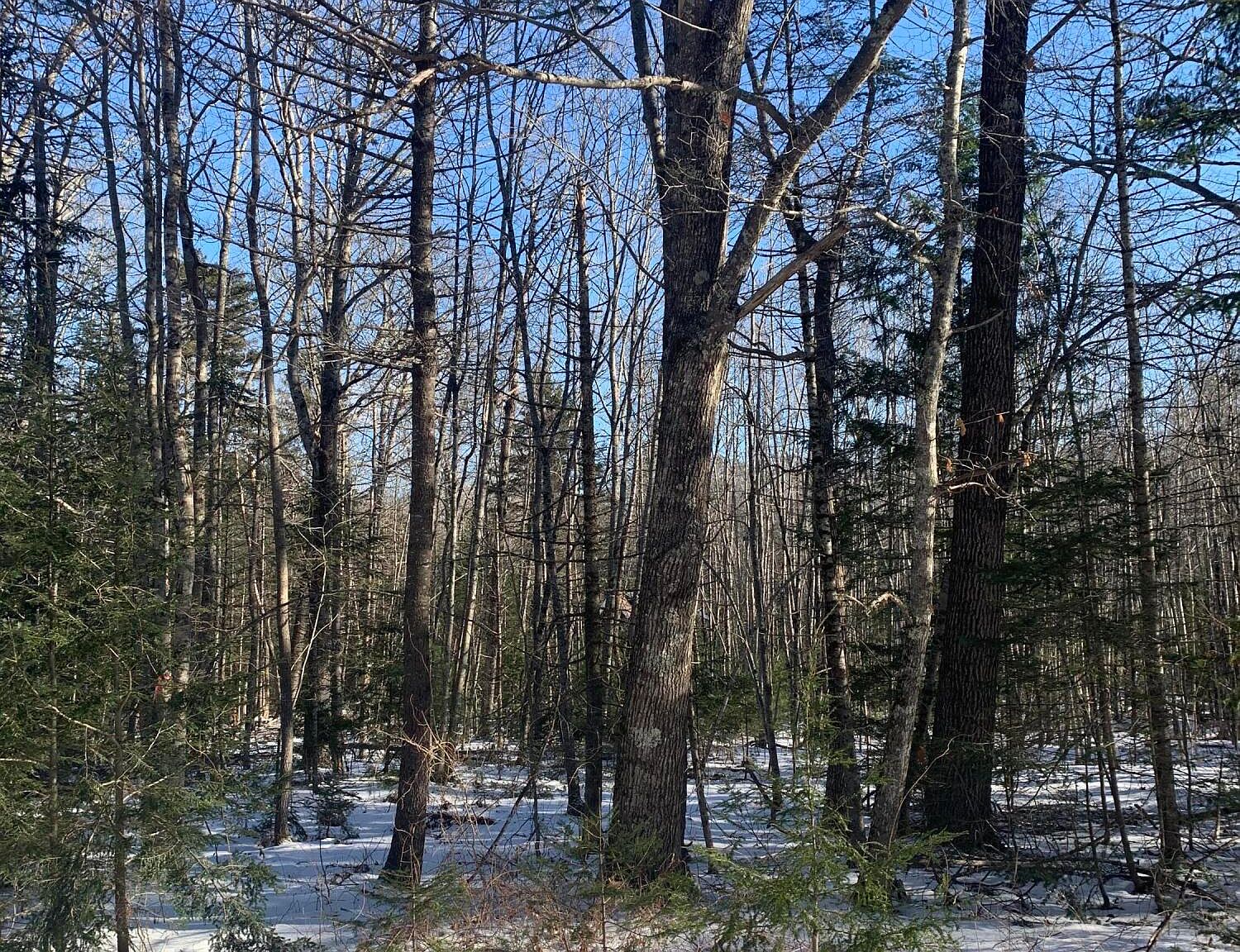 3 Airika-B Drive, Lincolnville, ME 04849 | Zillow