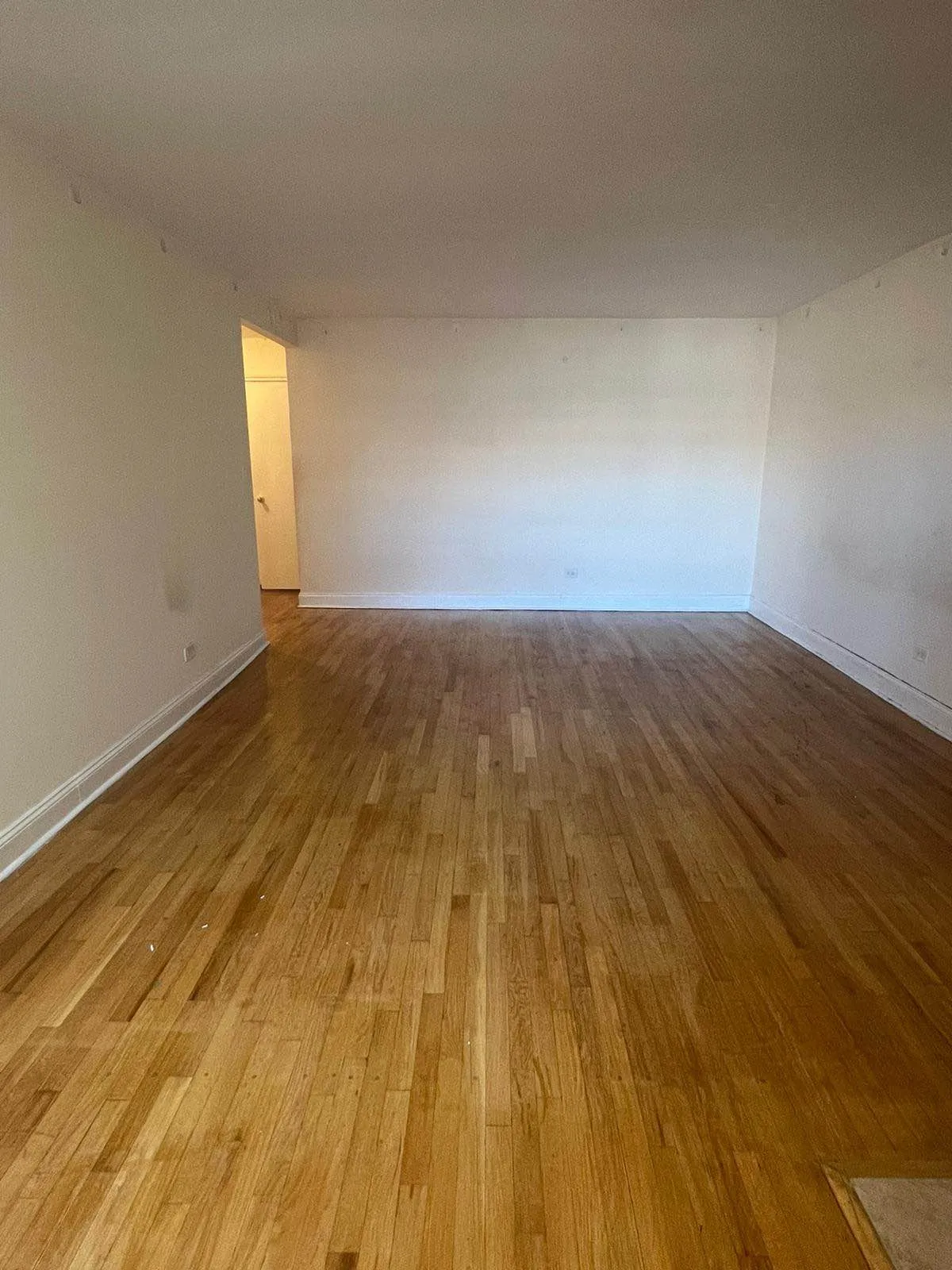 83-09 Lefferts Boulevard #APT66N in Kew Gardens, Queens | StreetEasy