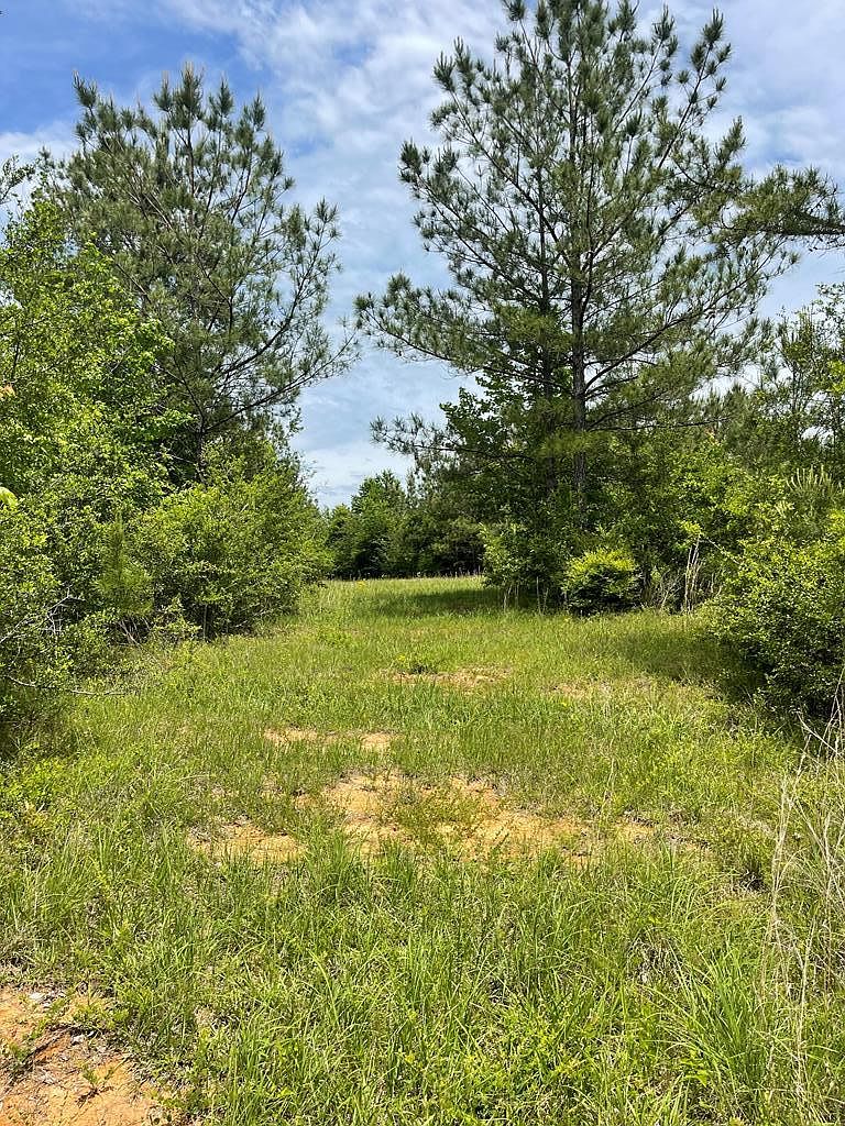0 Reeves Rd SE, Ruth, MS 39662 | MLS #144537 | Zillow