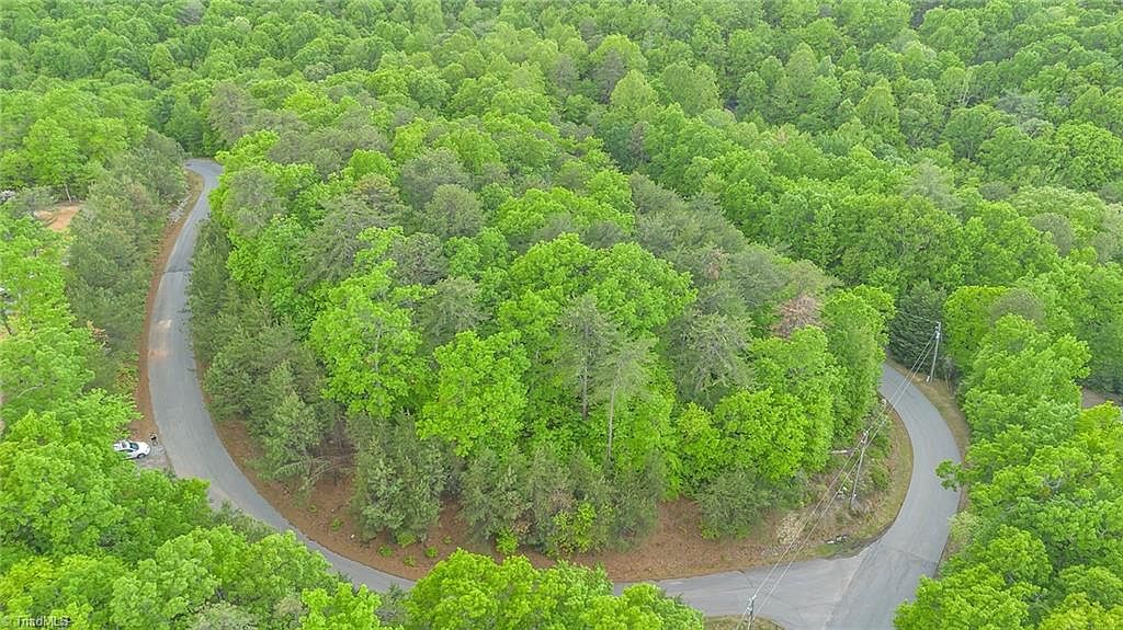 135 Chestnut Mountain Farms Pkwy, Mc Grady, NC 28649 | MLS #1181852 ...