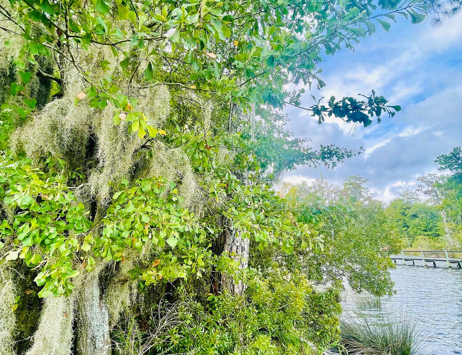 44 Bay View Drive, Chocowinity, NC 27817 | Zillow