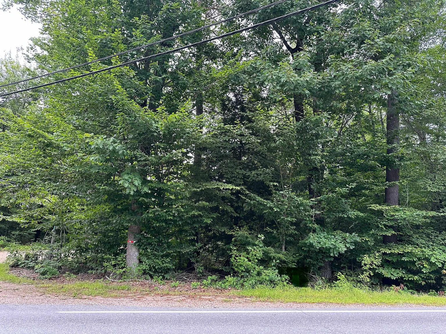Fox Road lot 55, Union, NH 03887 | MLS #5010590 | Zillow