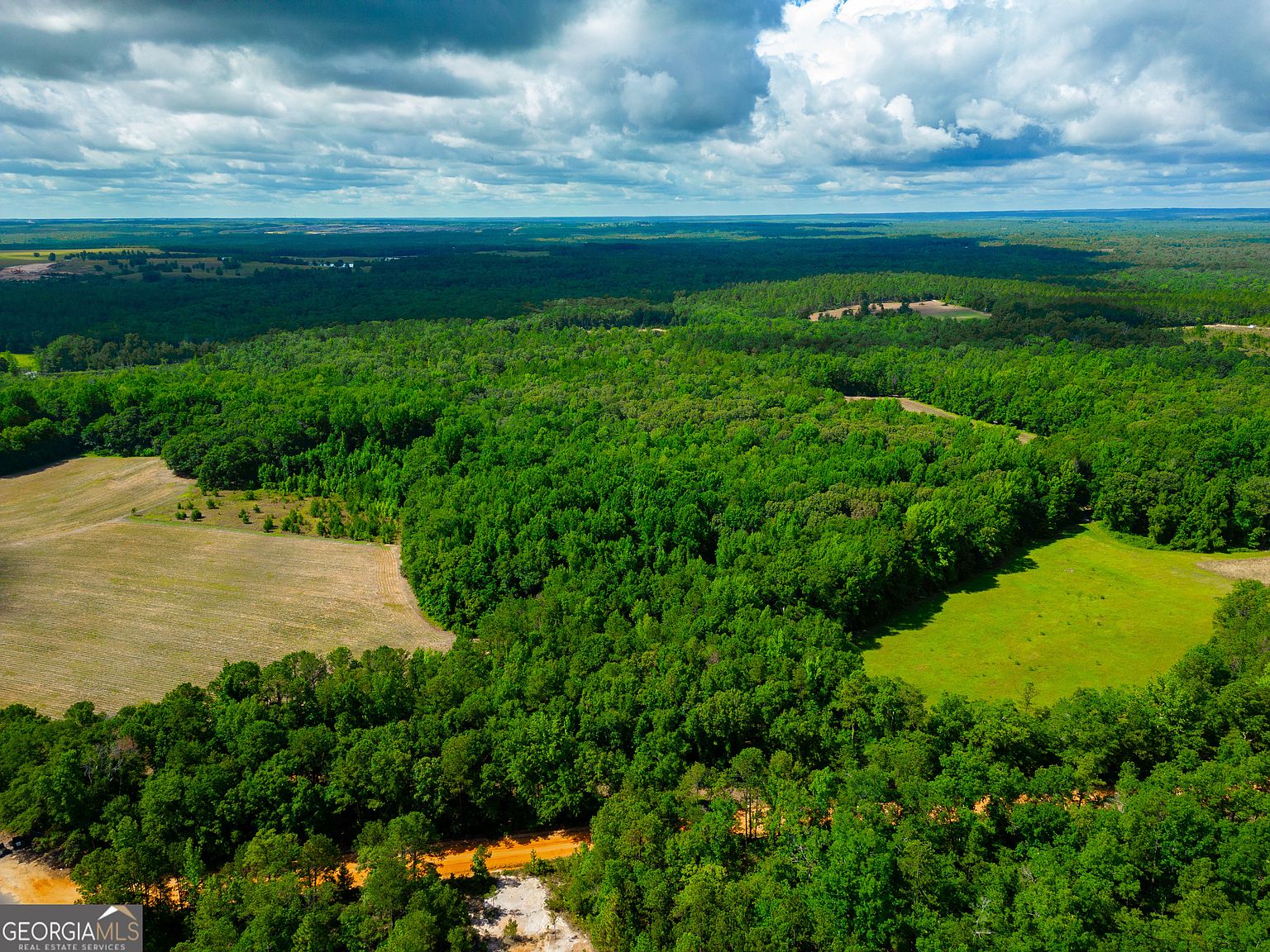 0 Scott Rd, Butler, GA 31006 | MLS #10334612 | Zillow