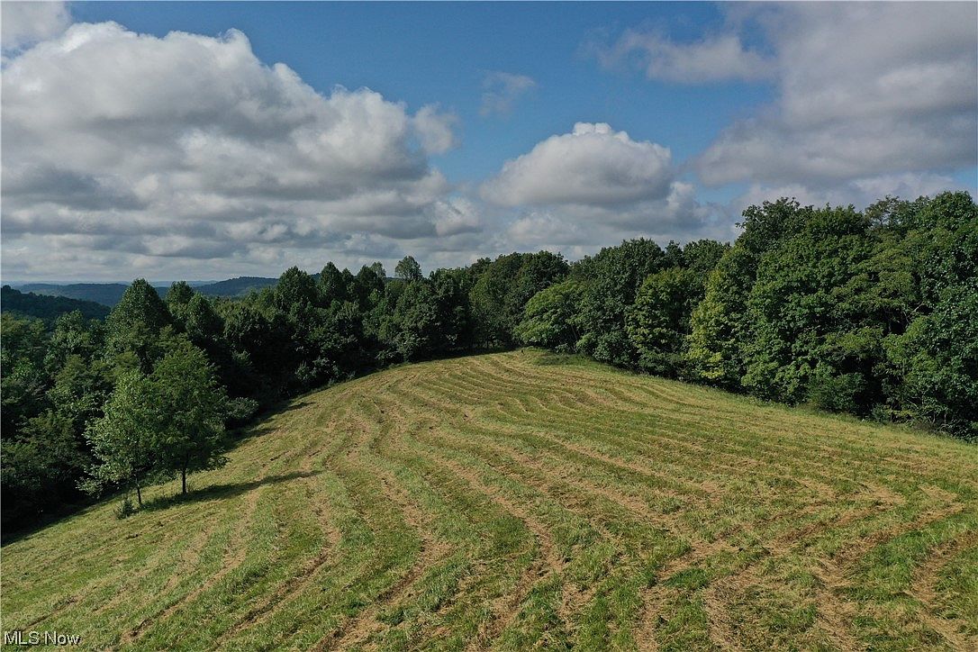 1 Salisbury Rd, Ivydale, WV 25113 | Zillow