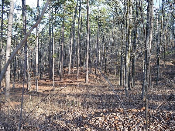 Henry Mountain Forrest Service Rd, Waldron, AR 72958 | MLS #1069762 ...