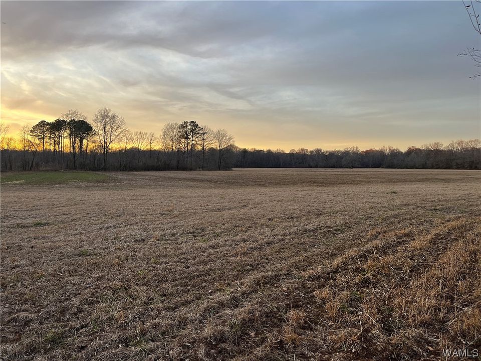 0 County Road 35, Ethelsville, AL 35461 | Zillow