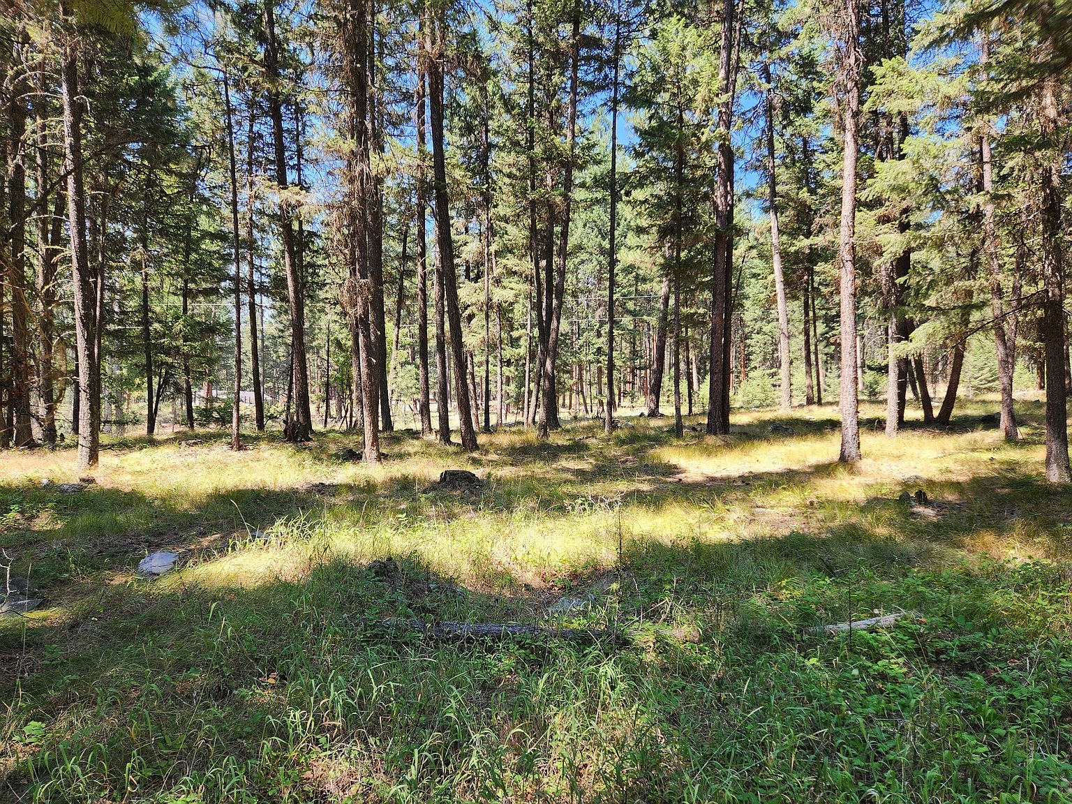 Nhn Conifer Dr, Huson, MT 59846 | Zillow