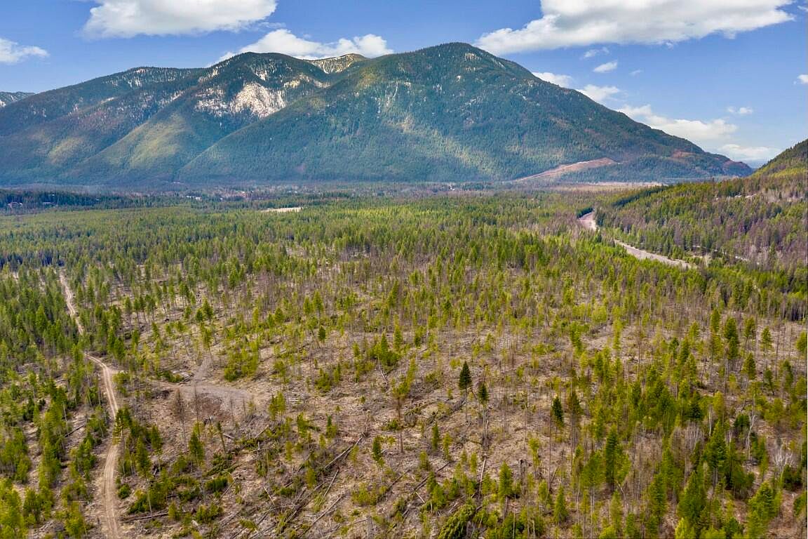 191 Stones Throw Ln, Columbia Falls, MT 59912 | MLS #30032557 | Zillow