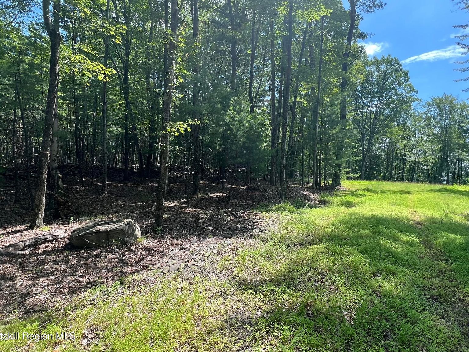 10 Rockaway Road, Accord, NY 12404 | MLS #20252719 | Zillow