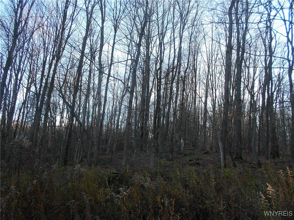 Neamon Dr #22, Delevan, NY 14042 | MLS #B1576718 | Zillow