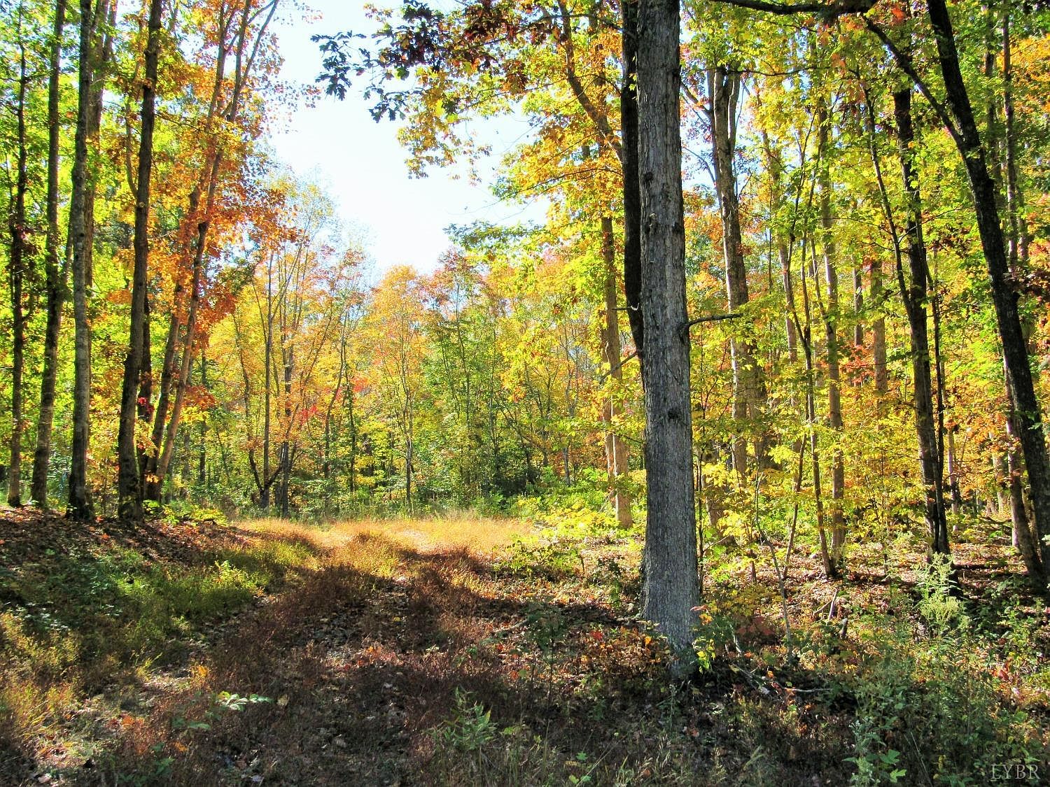 37 Piney Mountain Ln, Shipman, VA 22971 | Zillow