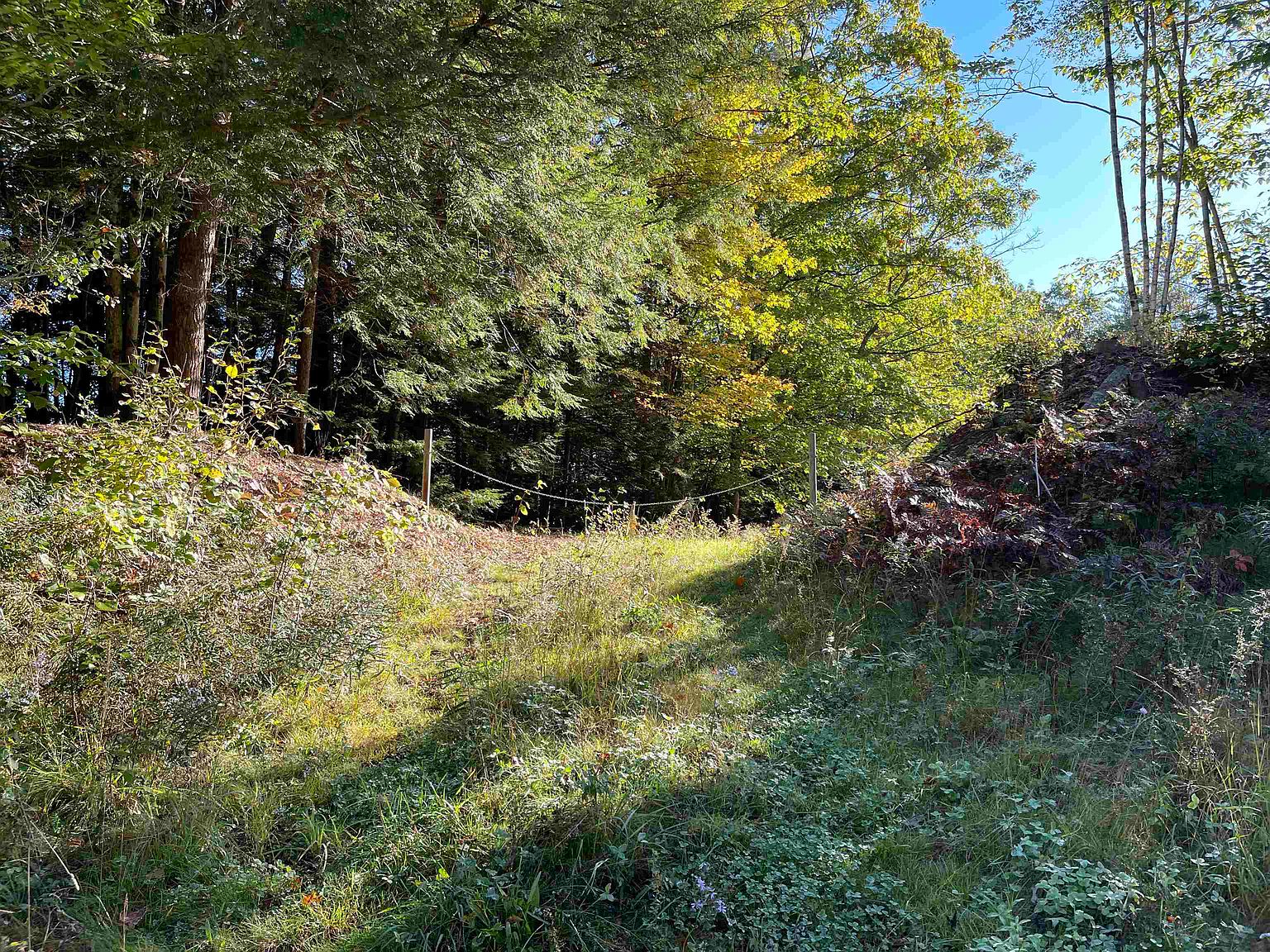 00 Nh Route 3A, Hill, NH 03243 | Zillow