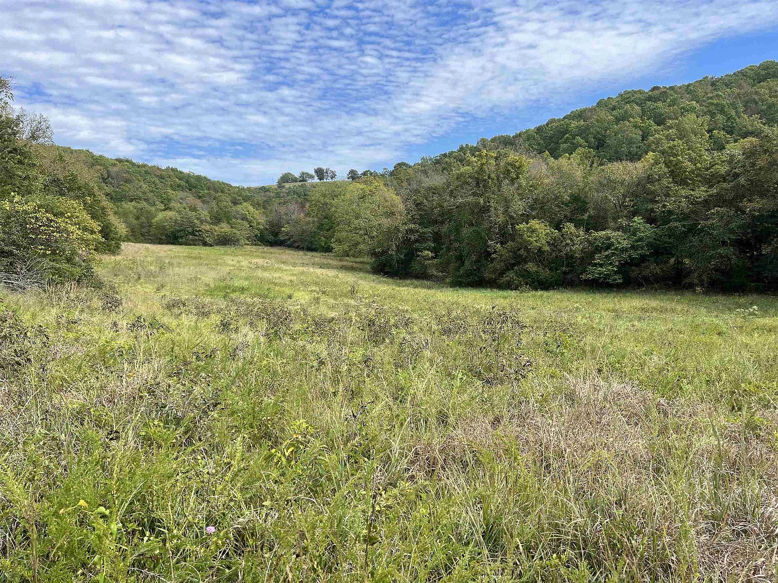 Mercy Mountain Dr, Harrison, AR 72601 | MLS #25002670 | Zillow