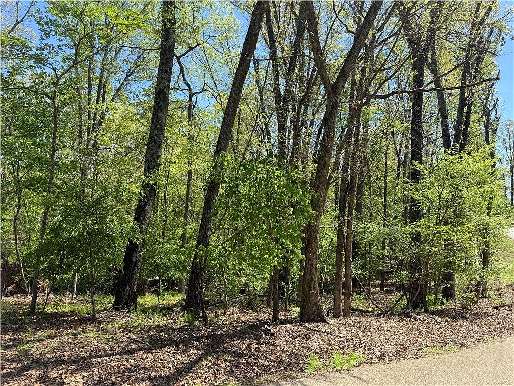 LOT 15 W Brush Creek Loop, Rogers, AR 72756 | MLS #1305301 | Zillow