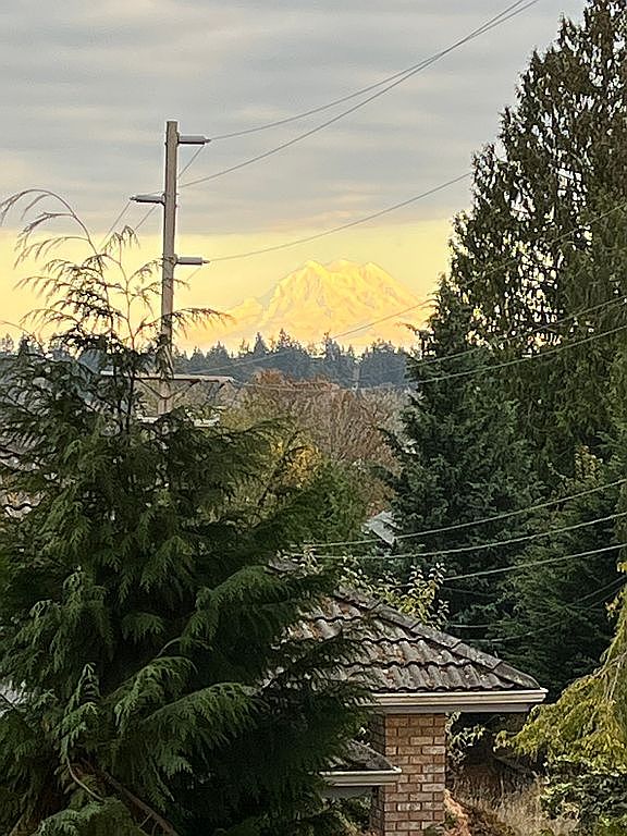 1504 Rogers St NW, Olympia, WA 98502 | Zillow