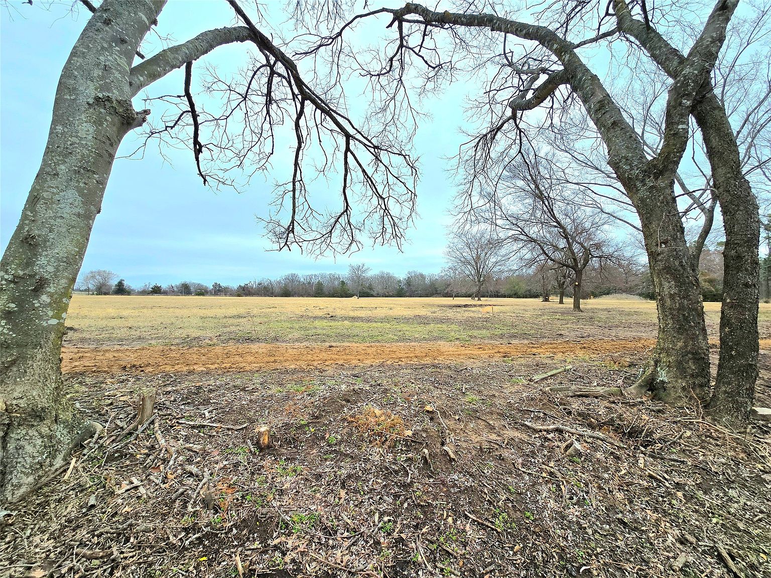 3 County Road 2245, Emory, TX 75440 | MLS #20893943 | Zillow