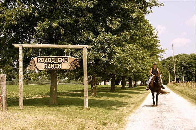 4962 Curtis Roth Ln, Pleasant Plains, IL 62677 | Zillow