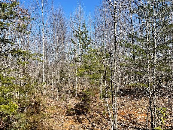 Mountain Ridge Ln, Shipman, VA 22971 | Zillow