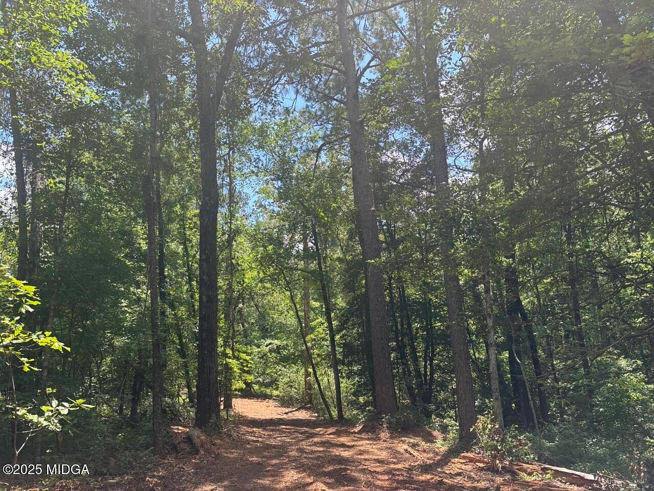 1 Longleaf Dr, Macon, GA 31220 | MLS #180186 | Zillow