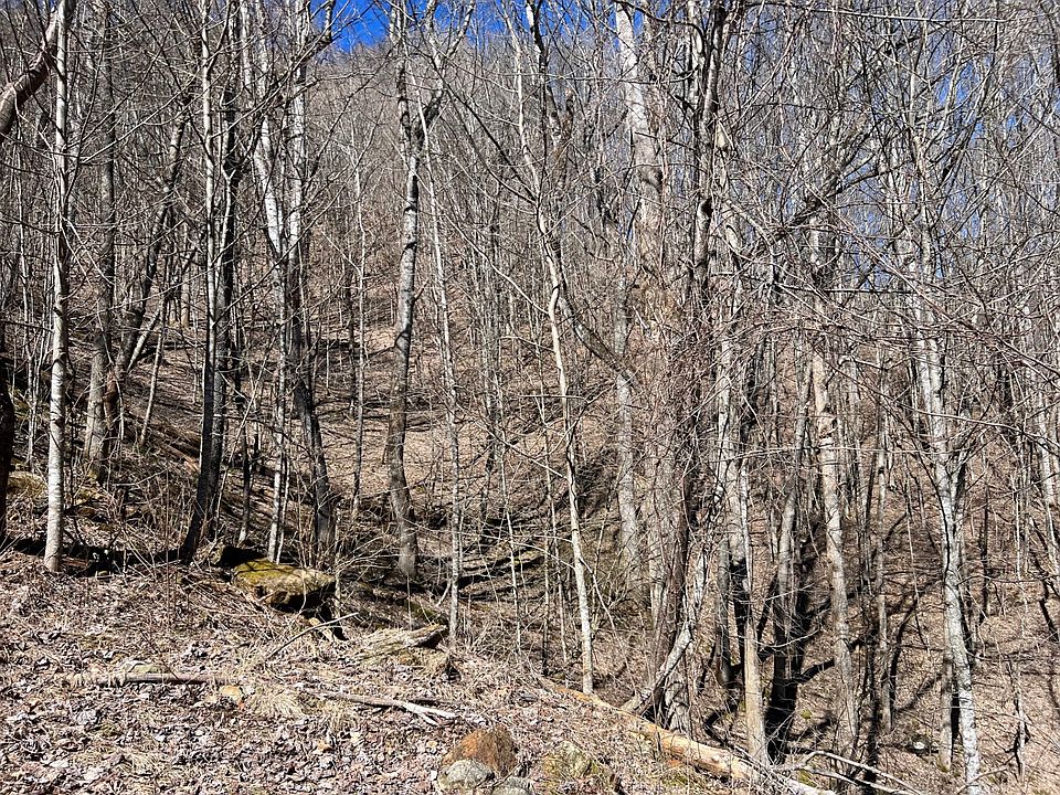 Jack Ollis Ln, Newland, NC 28657 | MLS #11144303 | Zillow