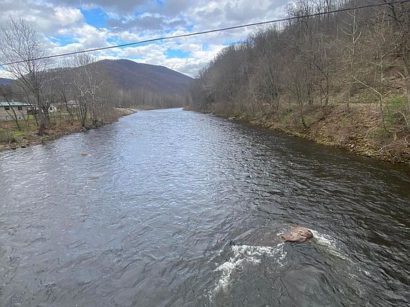 47 Charles St, Hendricks, WV 26271 | Zillow