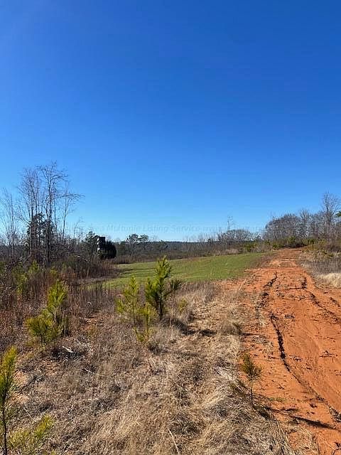 County Road 27, Millport, AL 35576 | MLS #24-481 | Zillow