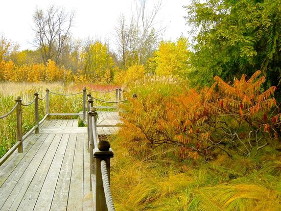 37W756 Woodgate Rd, Saint Charles, IL 60175 | MLS #10340647 | Zillow