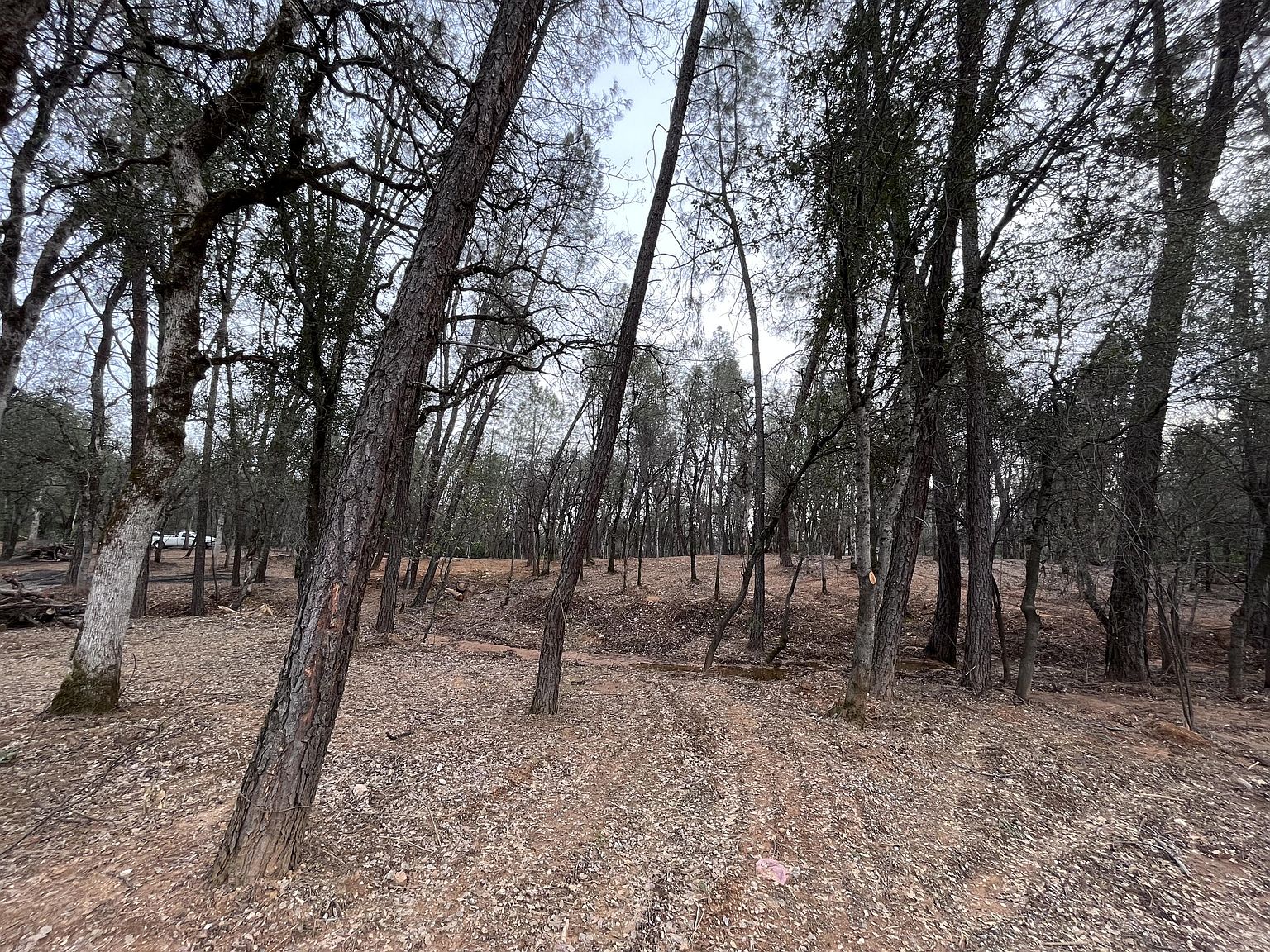 3135 Lakey Ln, Redding, CA 96003 | Zillow