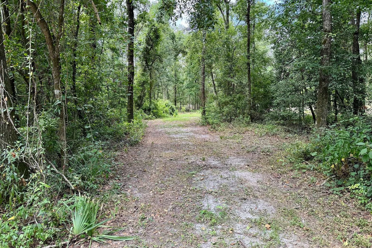 LOT 29 NE River Park Rd #29, Lee, FL 32059 | Zillow