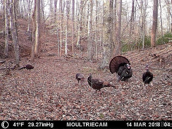 3171 Earley Farm Rd, Madison Heights, VA 24572 | MLS #357298 | Zillow