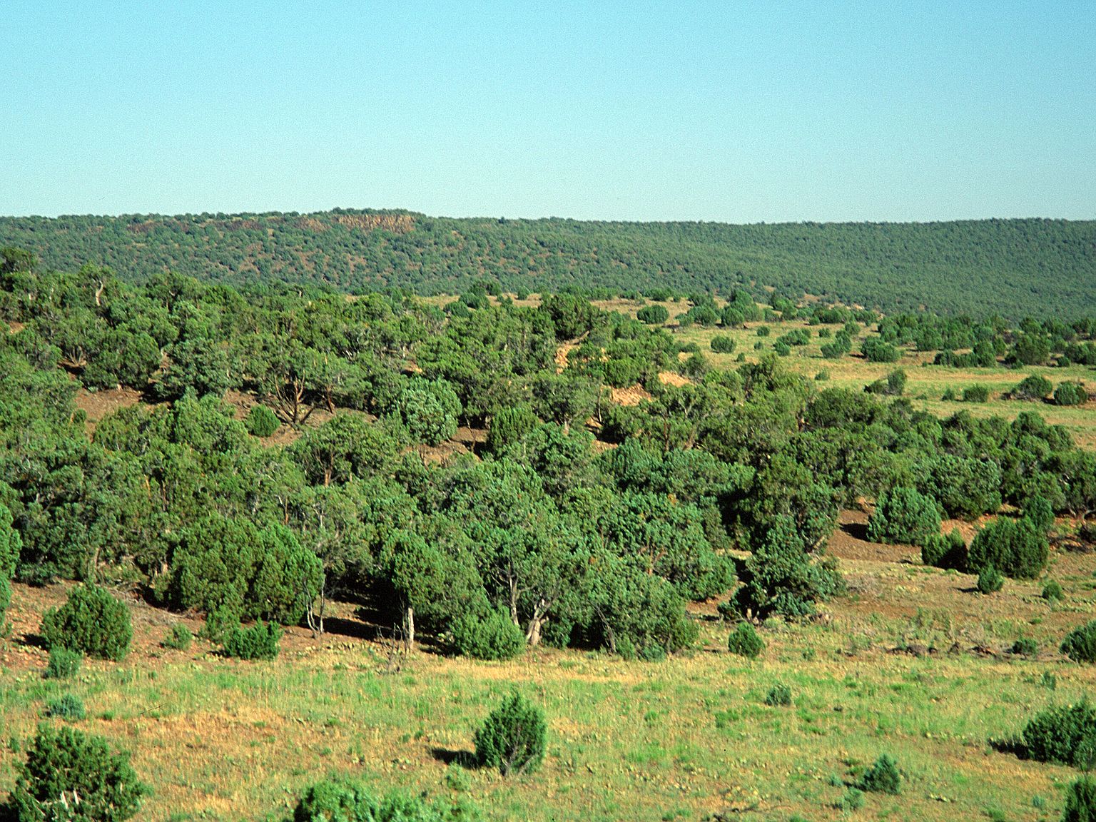 1 Bonito Valley Ranch Road, Saint Johns, AZ 85936 | Zillow