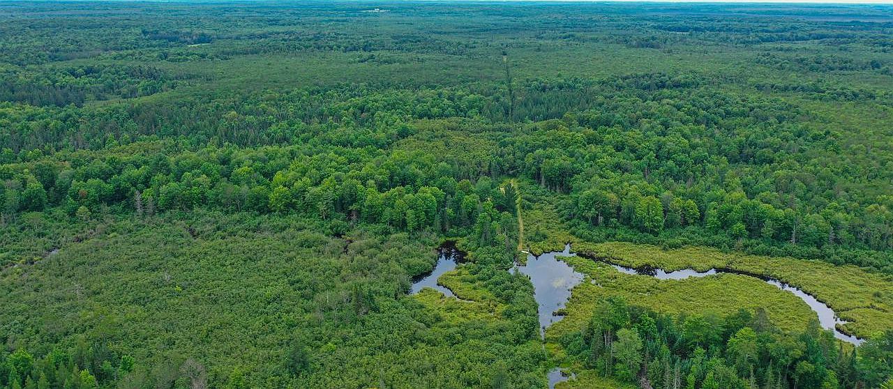 160 ac Cedar Road, Merrill, WI 54452 | MLS #1983726 | Zillow