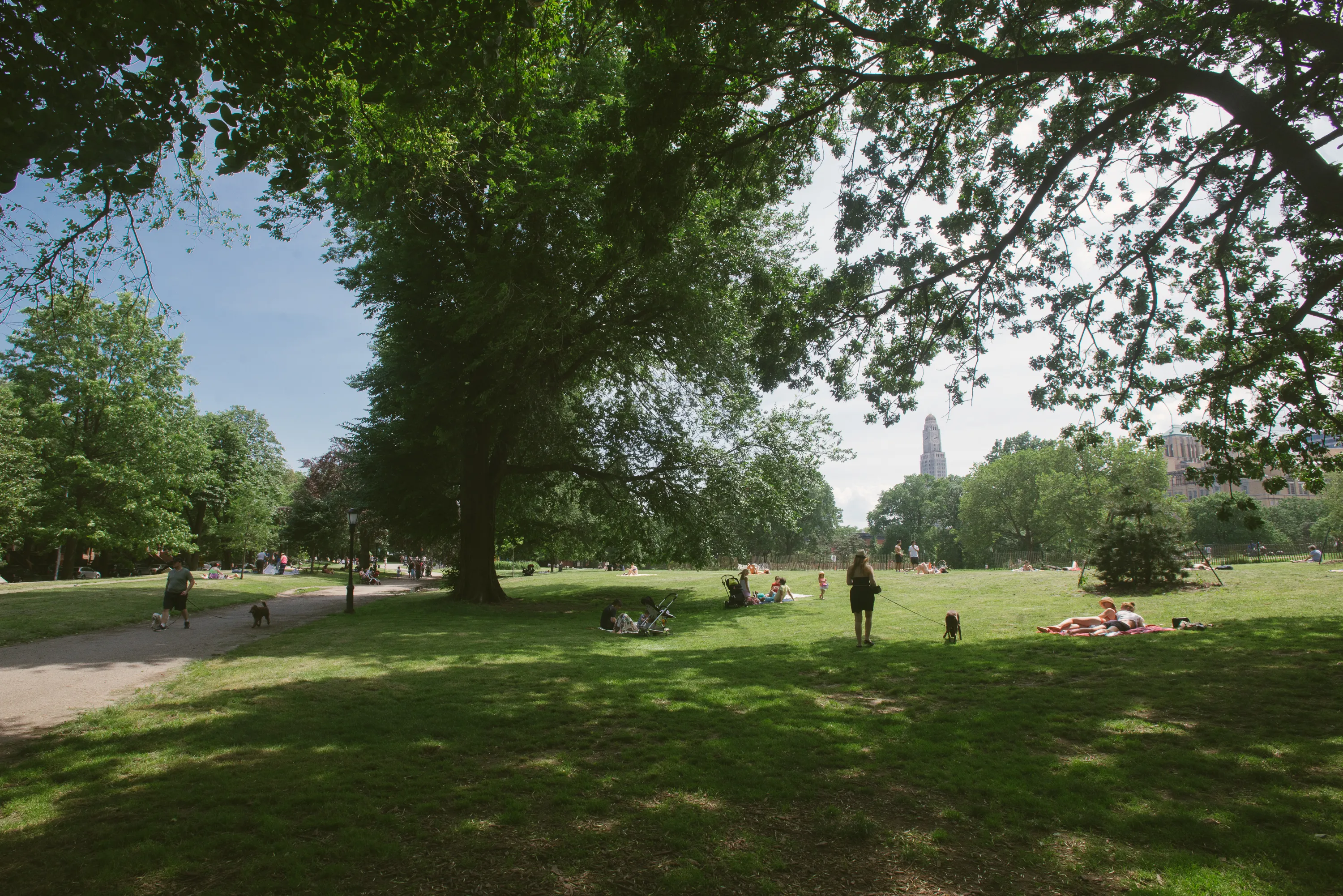 147 South Oxford Street #2C in Fort Greene, Brooklyn | StreetEasy