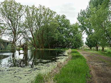 16200 Rocklyn Rd N, Harrington, WA 99134 | Zillow