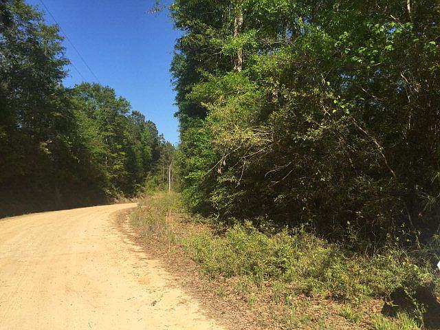 00D4 Lowman Loop, Dozier, AL 36028 | Zillow