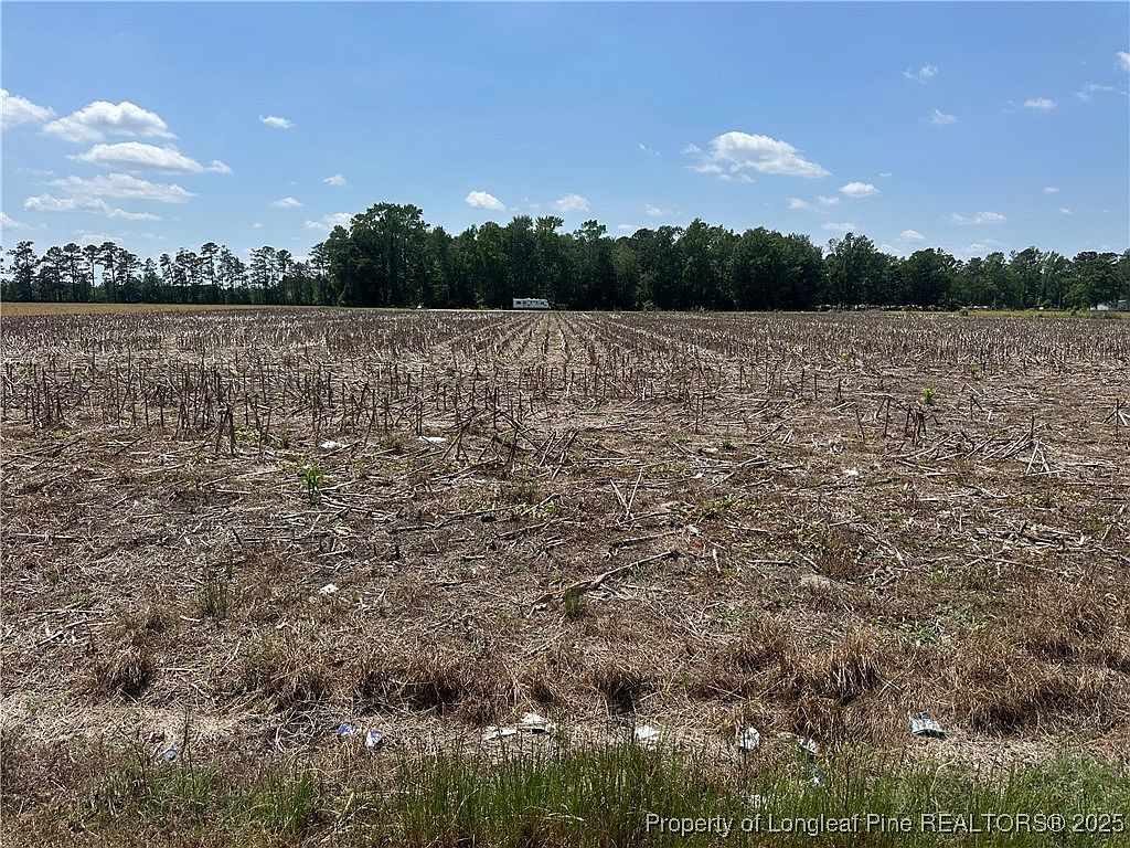 Elrod Rd, Maxton, NC 28364 | MLS #743110 | Zillow