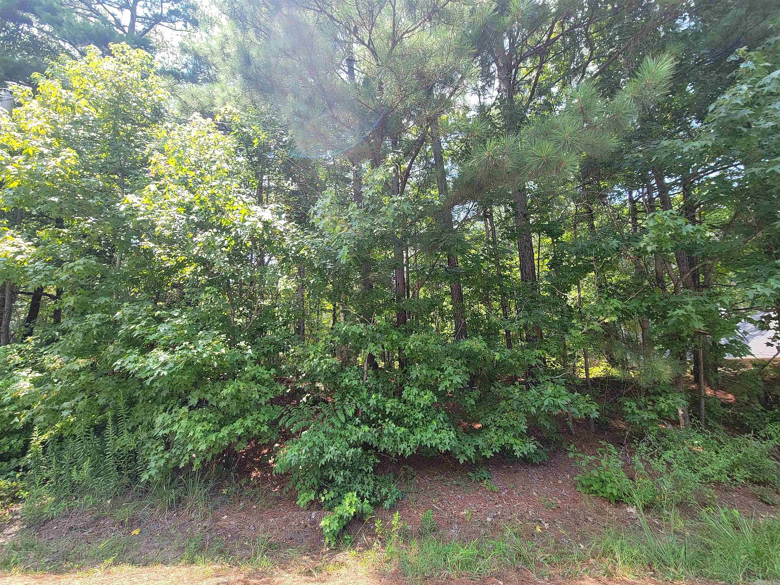 0 Michael Dr, Redfield, AR 72132 | Zillow