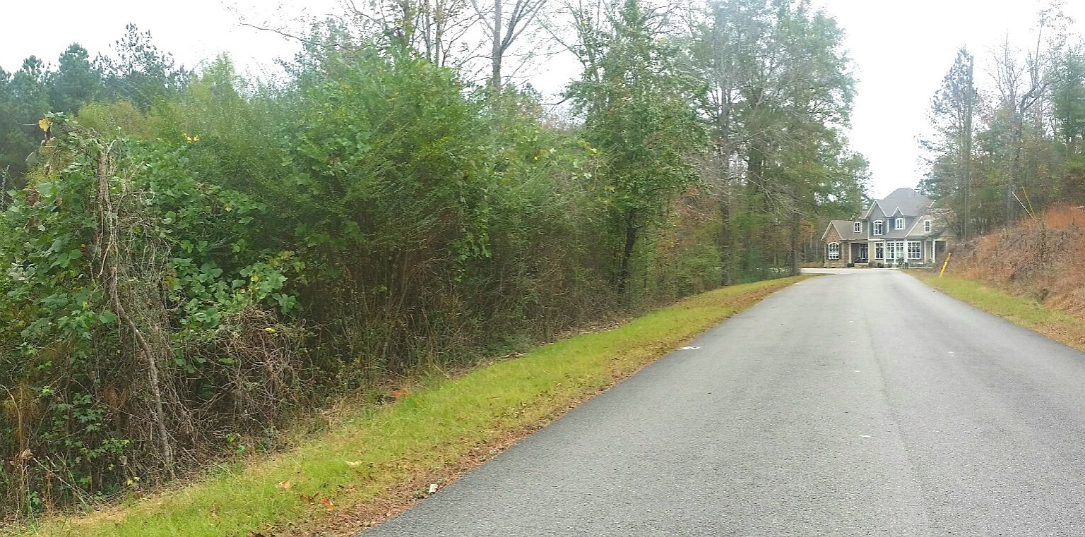 347 Signal Valley Trl, Chelsea, AL 35043 | Zillow