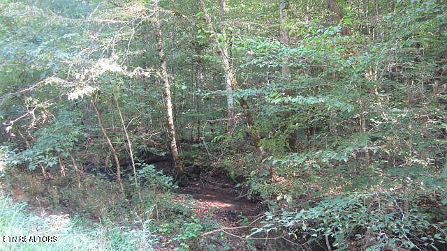 2 Snake Hollow Rd, Sneedville, TN 37869 | MLS #1259498 | Zillow