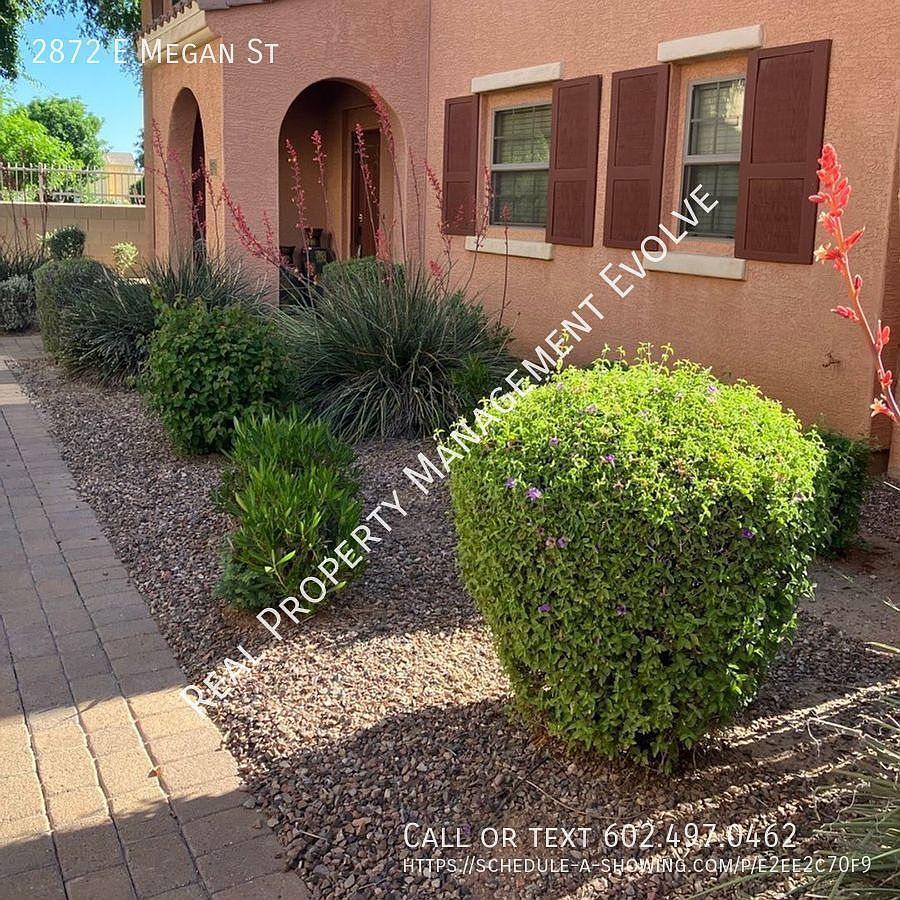 2872 E Megan St, Gilbert, AZ 85295 | Zillow