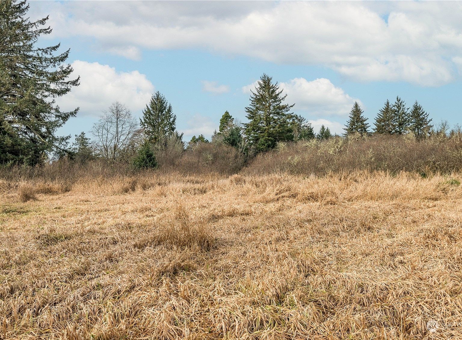 2990 40th Street, Seaview, WA 98644 | MLS #2316394 | Zillow