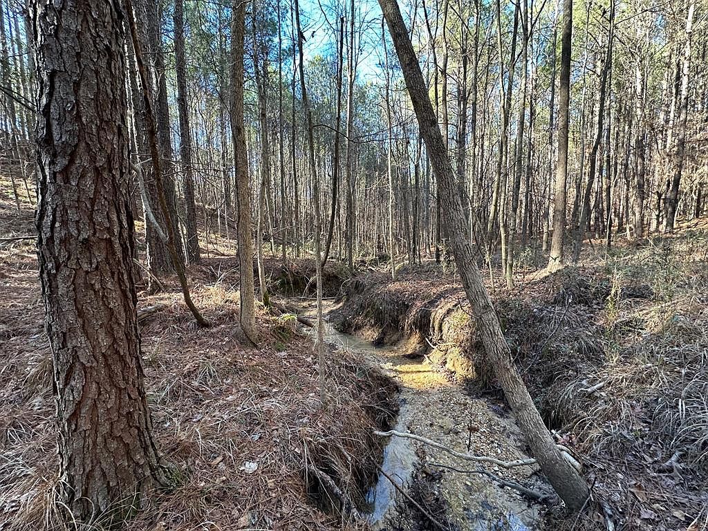 3 Levi Cooper Rd, Braxton, MS 39044 | Zillow