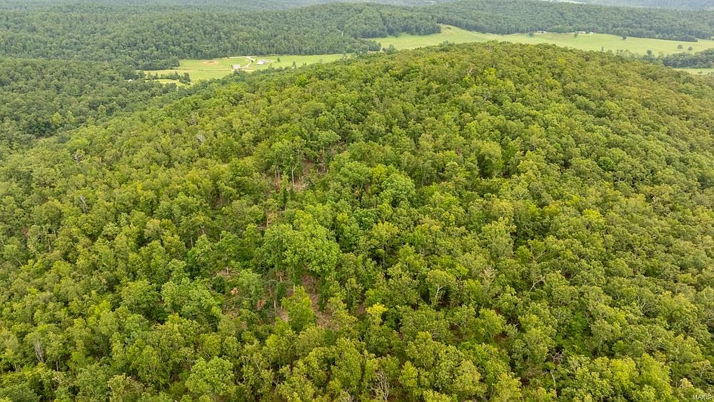 0 County Road 448, Redford, MO 63665 | Zillow